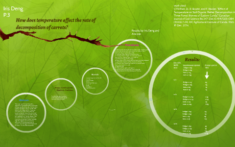 Carrot Decomposition Lab Write Up by Iris Deng on Prezi