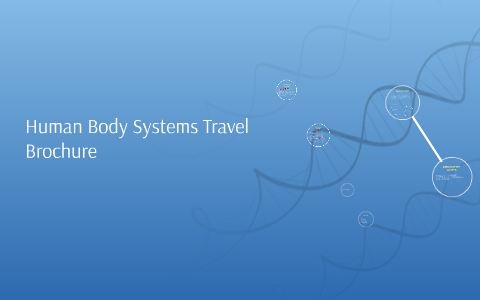 Human Body Systems Travel Brochure by kya scott on Prezi