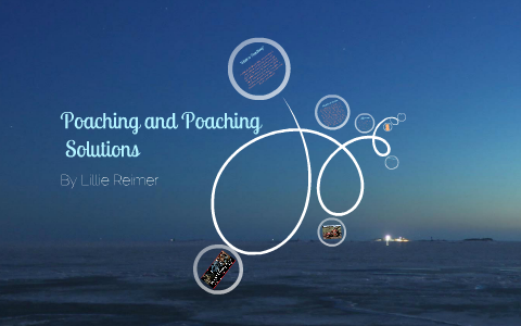 Poaching and Poaching Solutions by Lillie Jean on Prezi