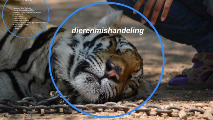 dierenmishandeling by zoë kramer on Prezi