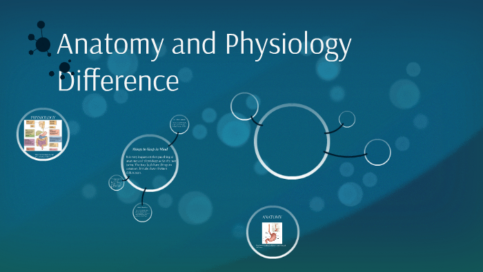 Anatomy and Physiology Difference by kailey kennedy on Prezi