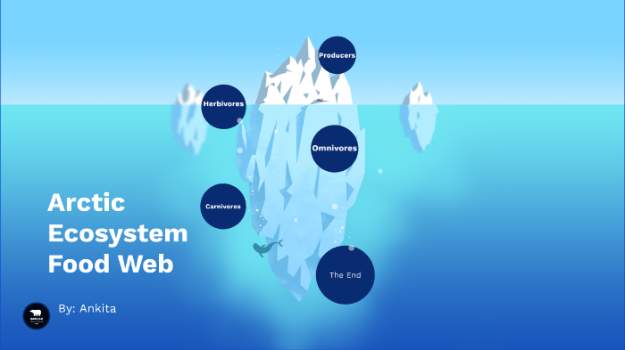 Arctic Ecosystem Food Web by Ankita Menon on Prezi