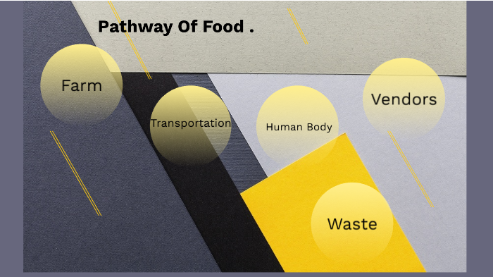 pathway of food by SA'NIYAH ROBERTS on Prezi