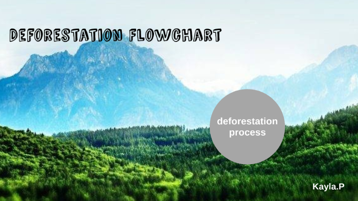deforestation flow chart by kayla phan on Prezi