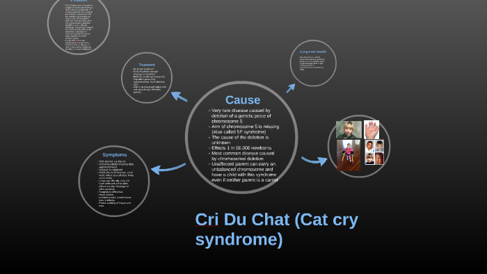 Cri Du Chat (Cat cry syndrome) by megan imdieke on Prezi