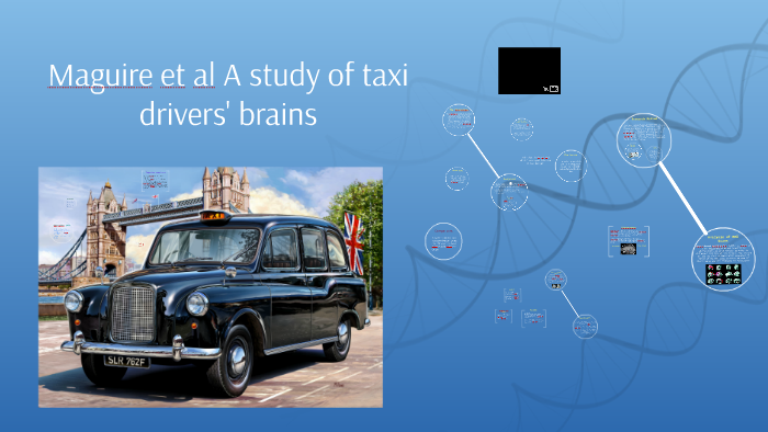 Maguire et al Study of taxi drivers' brains by amie smith on Prezi