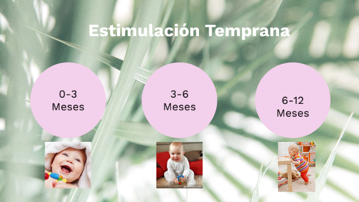 Estimulación Temprana by Ana Prias on Prezi