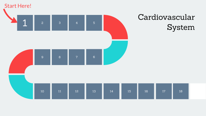 Cardiovascular System Stations by Mackenzie Balogh on Prezi
