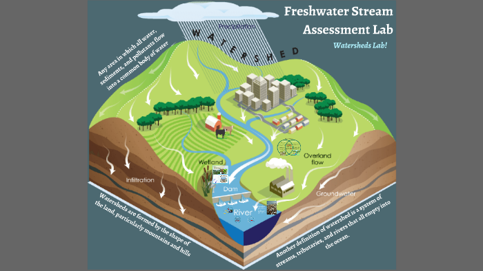 Freshwater Stream Assessment by Kelly Ng on Prezi