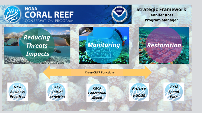 Updated_CRCP_Strategic_Plan_presentation by jasmin john on Prezi