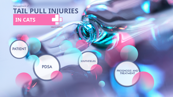 Management of tail pull injuries by Anna Wyb on Prezi