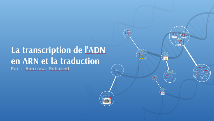 La transcription de l'ADN et la traduction : Synthèse des protéines à ...