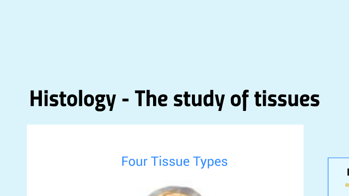 Histology - The study of tissues by Chad Helmer on Prezi
