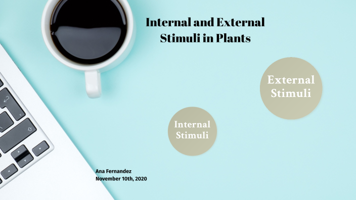 Internal and External Stimuli in Plants by Ana Fernandez on Prezi