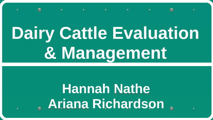 Dairy cattle Evaluation & Management ( CDE project) by Ariana ...