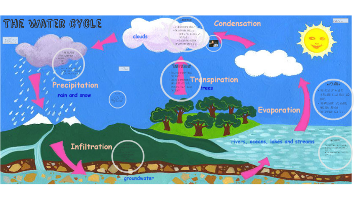 The Water Cycle by Emily Messinger