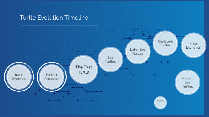 Turtle Evolution Timeline by Abbie Montag on Prezi