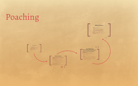 Poaching by on Prezi