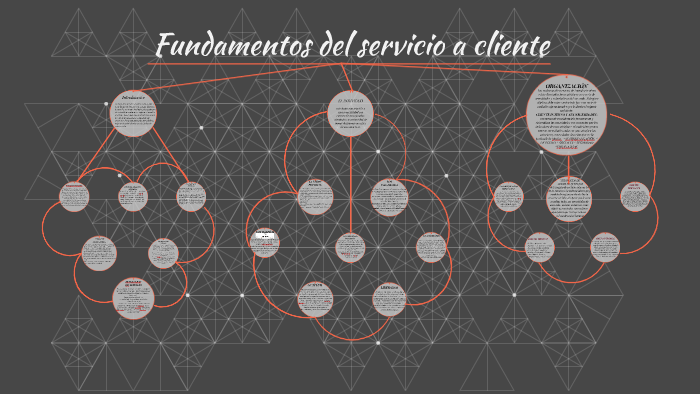 fundamentos del servicio al cliente de la aviacion comercial by ALLISON ...