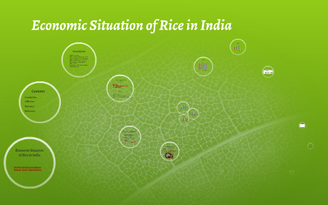 Economic Situation of Rice in India by Sumudu Byoinová on Prezi