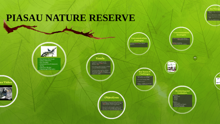 PIASAU NATURE RESERVE by you ping ling on Prezi