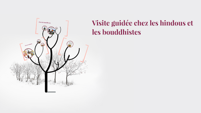 Visite guidée chez les hindous et les bouddhistes by Sarah Aoun on Prezi