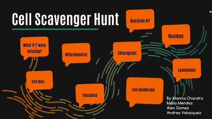 Cell Scavenger Hunt by Alejandro Gomez on Prezi