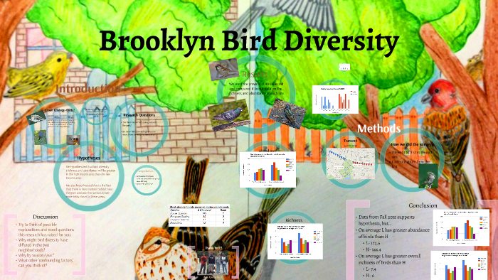 Brooklyn Bird Biodiversity - Fall 2015 by urban ecology on Prezi