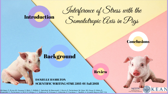 Interference of Stress with the Somatotropic Axis in Pigs by Danielle ...