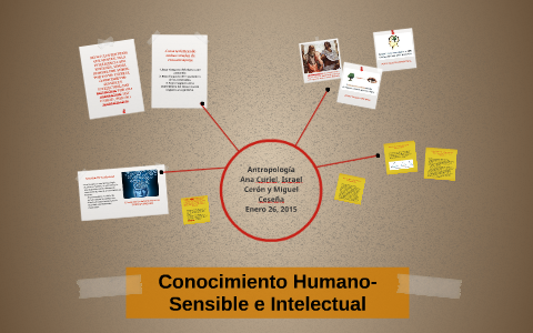Concimiento Humano- Sensible e Intelectual by on Prezi