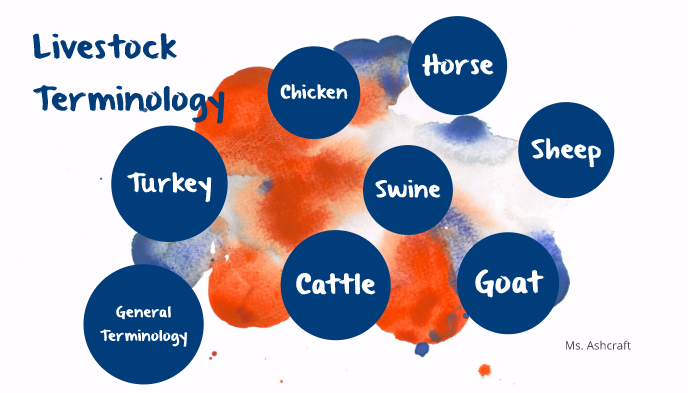 Livestock Terminology by Kari Ashcraft on Prezi