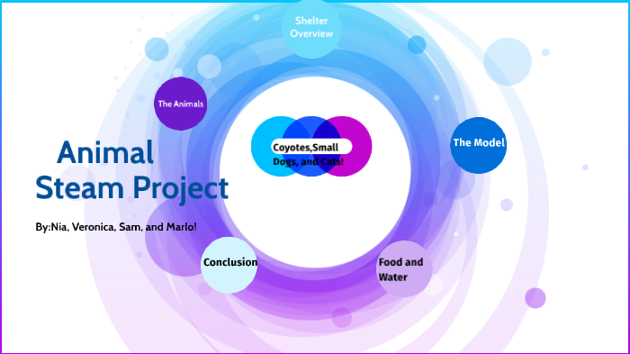 Animal Steam Project by Rebecca Bouvier on Prezi