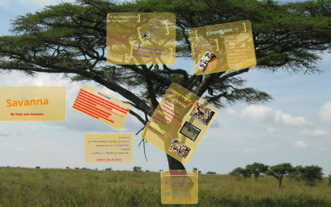 Savanna- Biome Project by Kathryn Way on Prezi
