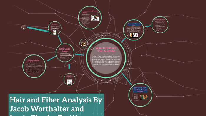 Forensic Science, Hair and Fiber by jacob worthalter on Prezi