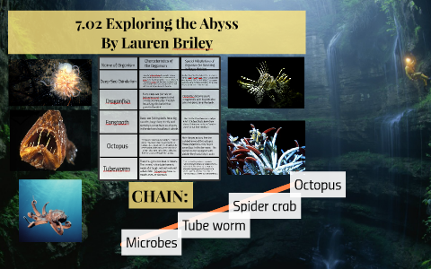 07.02 Exploring the Abyss by lauren briley on Prezi