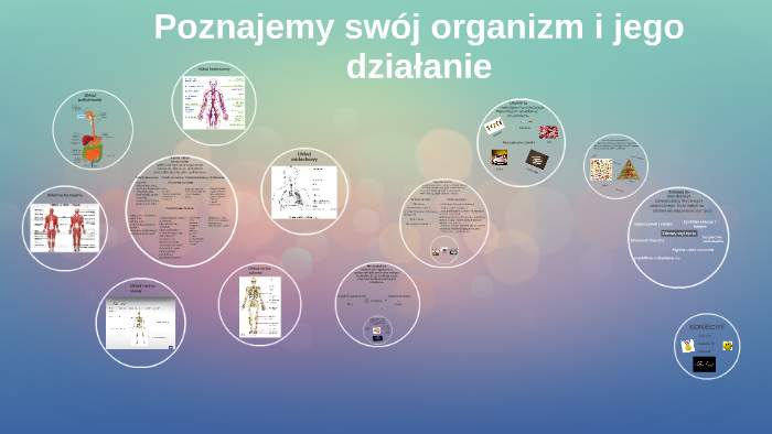 Poznajemy swój organizm i jego działanie by Kasia on Prezi