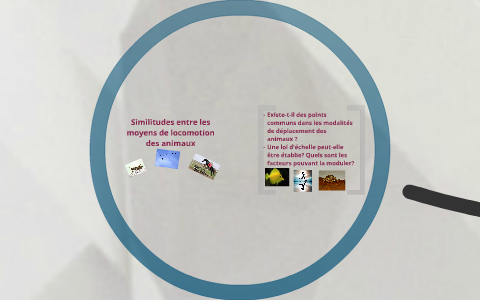 Diapo TIPE by Math Riobé on Prezi