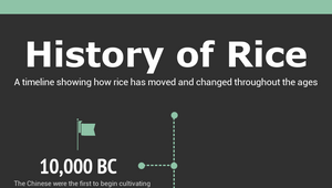 Rice Timeline by Alexandra Iguchi on Prezi Design