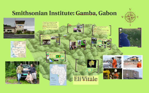 Smithsonian Institute: Gamba Gabon by Eli Vitale on Prezi