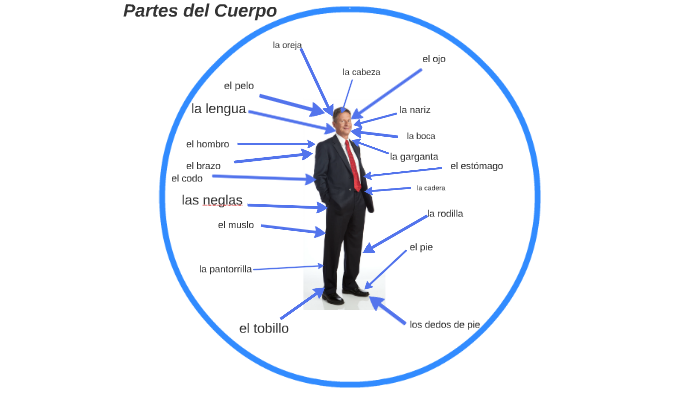 Partes del Cuerpo by jack freeborn on Prezi
