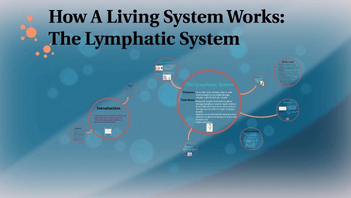 How A Living System Works by Katherine Ryan on Prezi