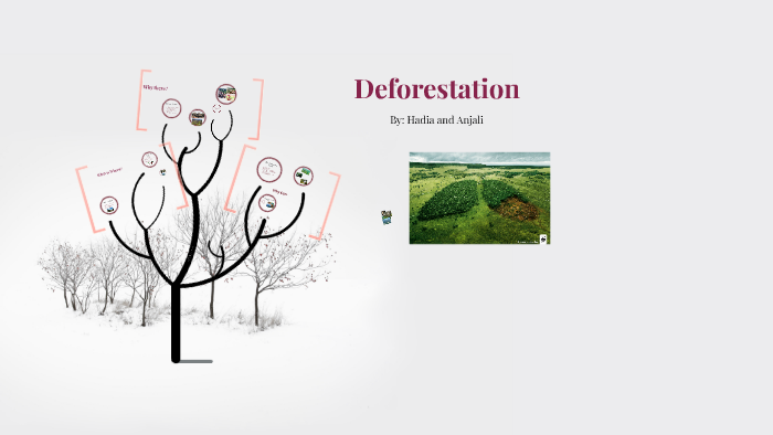 Deforestation by Hadia Alvi