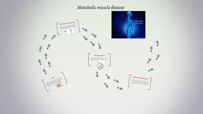 Metabolic muscle syndrome by lauren winstead on Prezi
