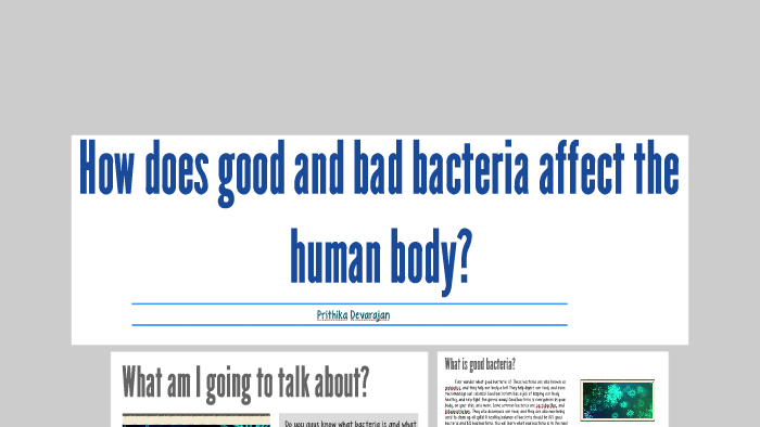 How does good and bad bacteria affect the human body? by prithika ...