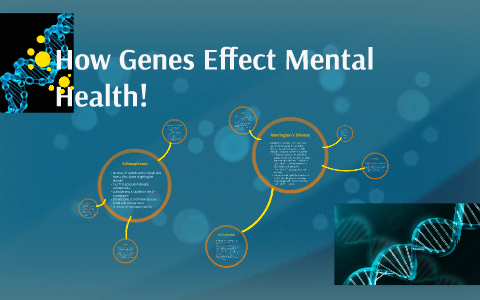 How Genes Effect Mental Health! by Dylan Cornell on Prezi