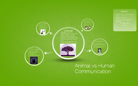 Animal vs Human Communication by Sabina Dissanayake on Prezi