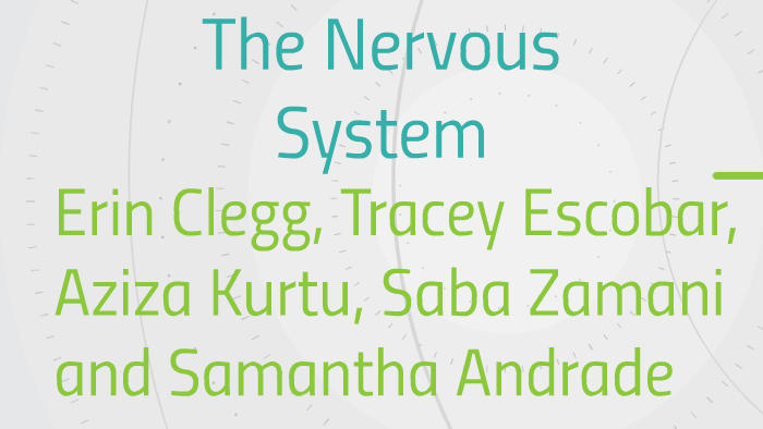 The Nervous System by Erin Clegg on Prezi
