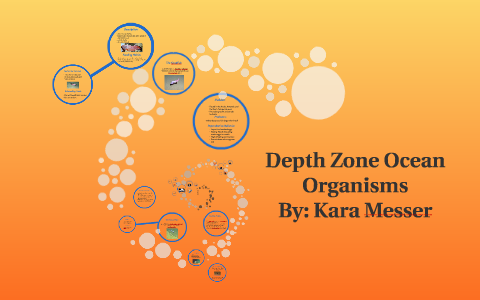 Depth Zone Ocean Organisms by Kara Messer on Prezi