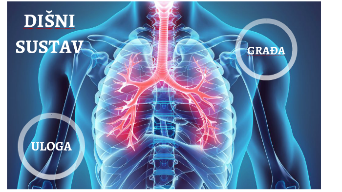 ULOGA by Valentina Ćukušić