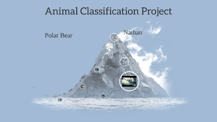 Animal Classification Project by nathan martinez on Prezi